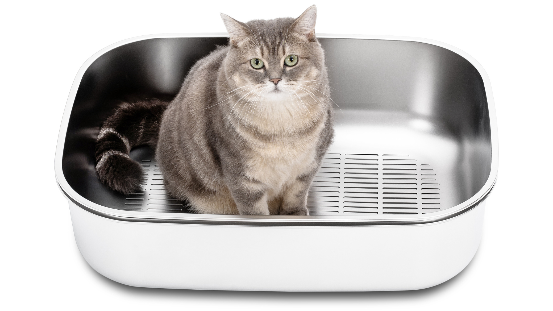 Stainless Steel Cat Box Guide