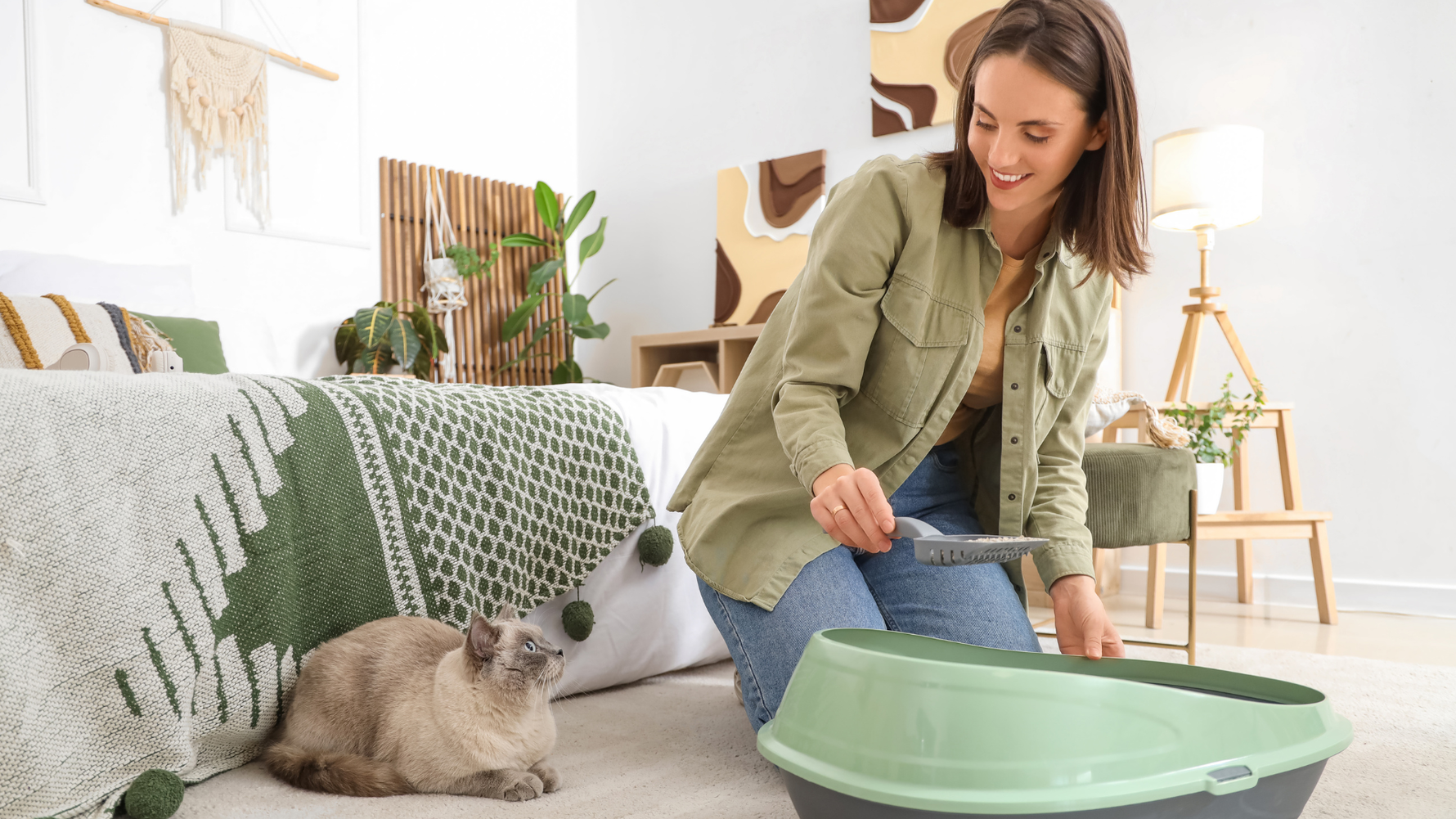 Finding your cat has used the floor next to their brand new litter box ...