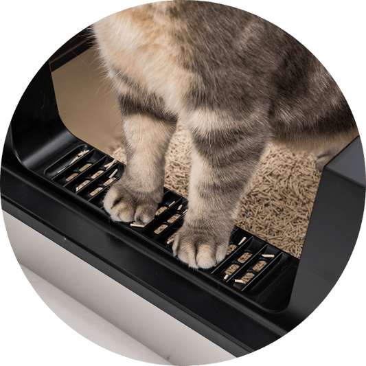 XXL Front Entry Stainless Steel Litter Box